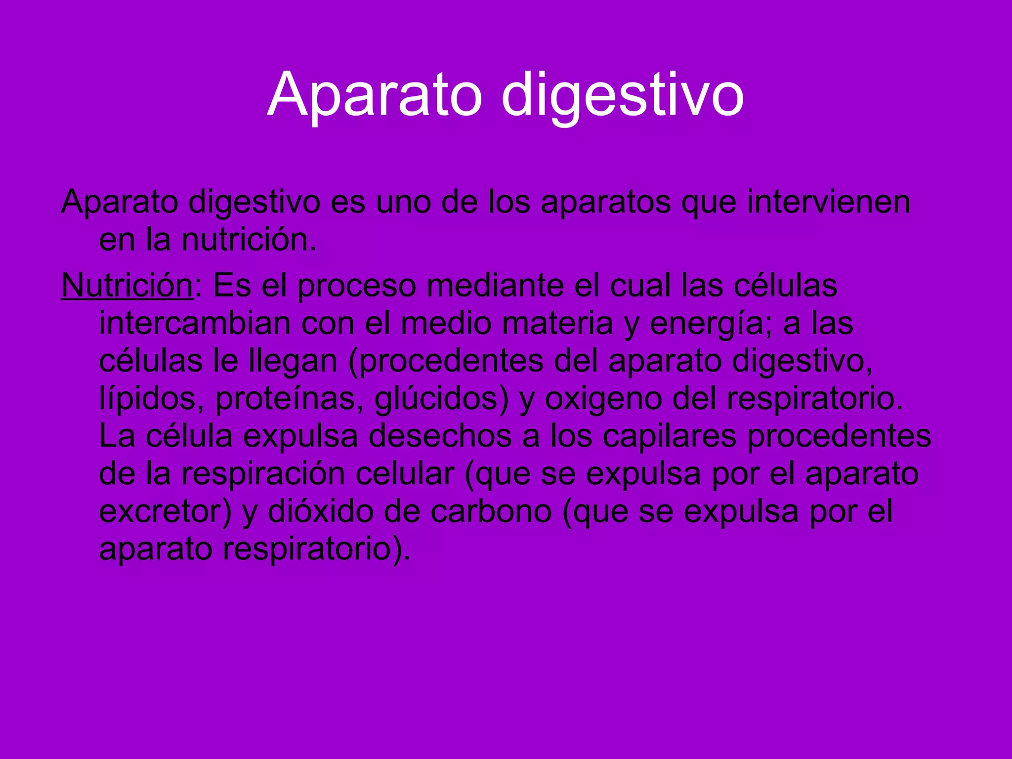 Aparato digestivo y excretor | PPT