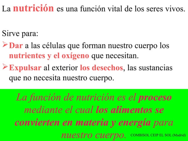 Aparato digestivo y función de nutrición | PPS