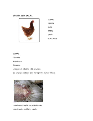 Aparato digestivo y reproductivo en gallinas | DOCX