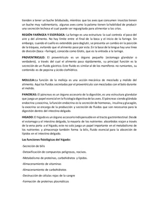 Aparato digestivo y reproductivo en gallinas | DOCX