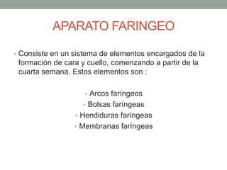 Aparato faringeo | PPTX