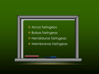 Aparato faríngeo | PPTX