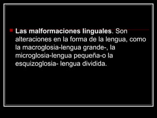 Aparato fonoarticulador | PPT