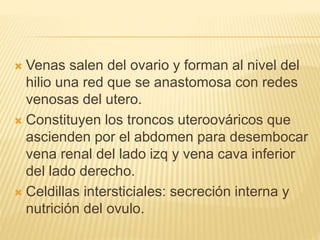 Aparato Reproductor Femenino | PPTX