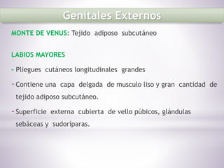 HISTOLOGIA aparato genital femenino.pptx