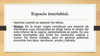 Aparato genital femenino y la descripción anatomicas | PPTX