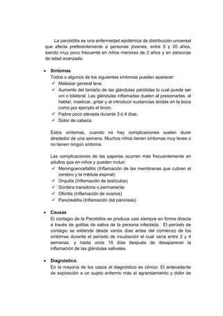 Aparato genital masculino | DOC