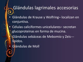 Aparato Lagrimal Y Lagrima Pptx