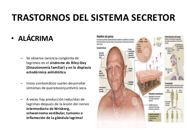 Aparato lagrimal y vías lagrimales