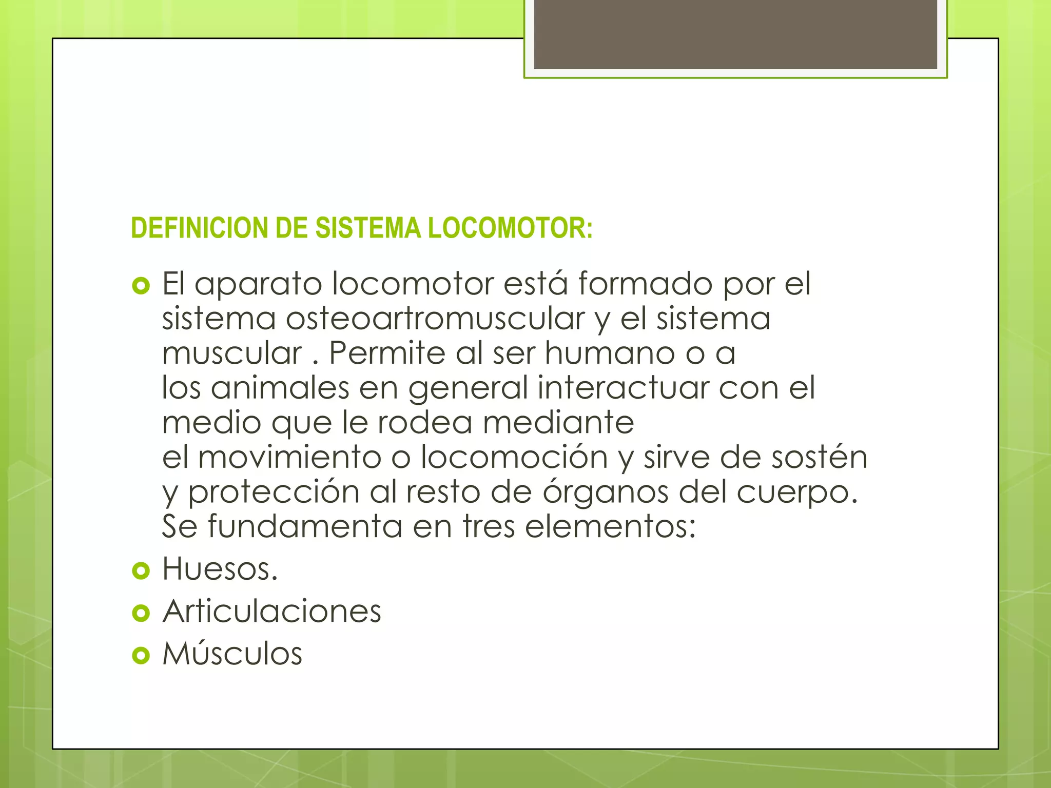 Aparato locomotor | PPTX