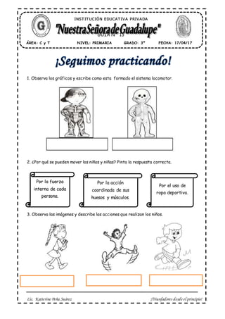 Aparato locomotor | DOCX