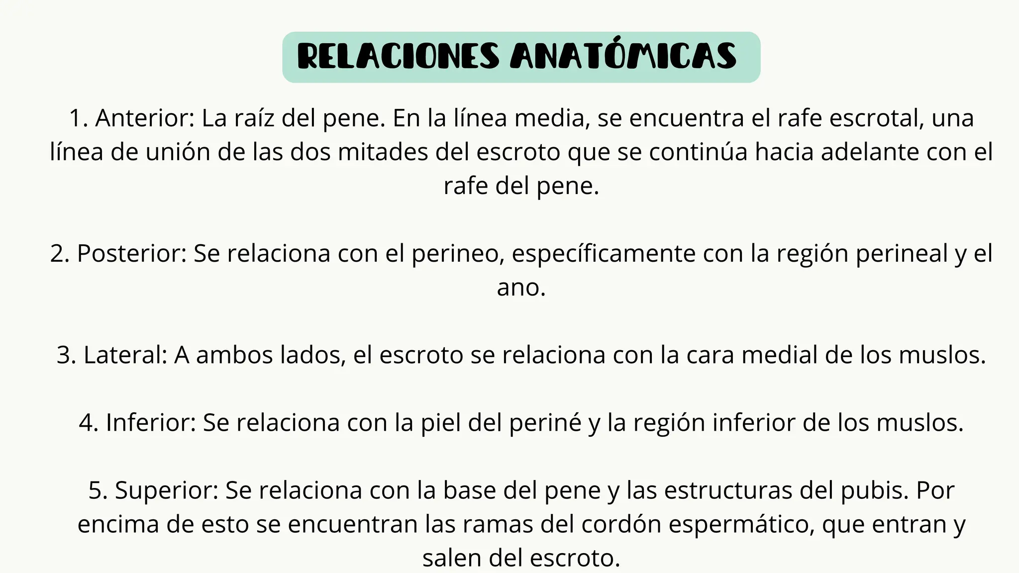 aparato masculino, completo, con irrigacion, inervacion etc | PDF