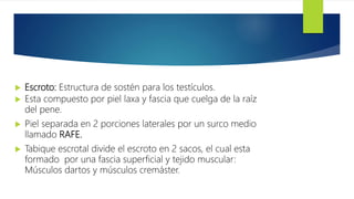 Aparato reproductor masculino y femenino | PPTX