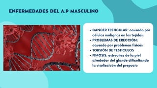 aparato reproductor: anatomía y fisiología.pdf
