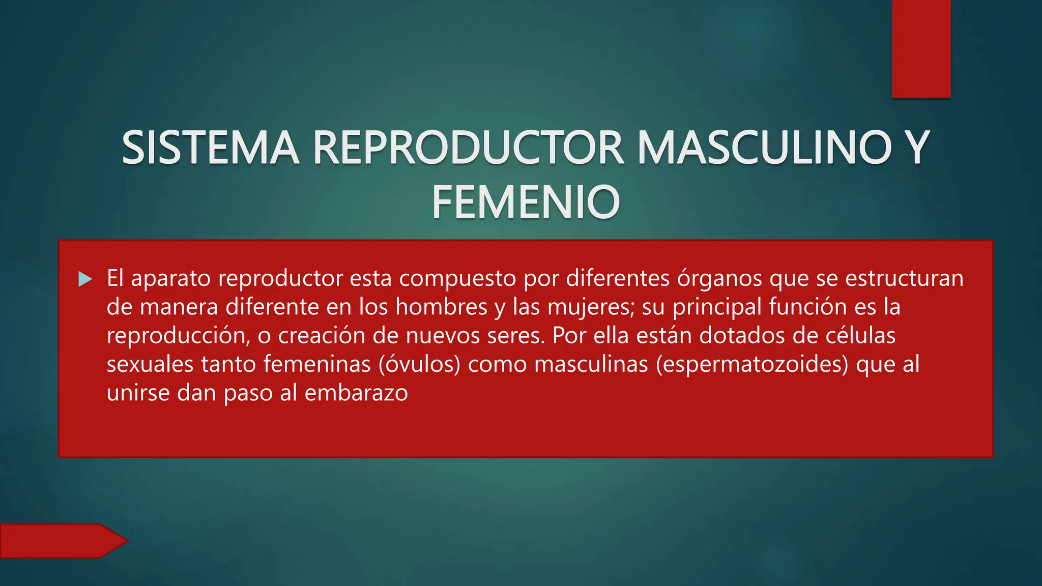 Aparato reproductor femenino y masculino | PPTX