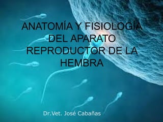 Aparato reproductor de la hembra. en todas las especiespptx | PPTX