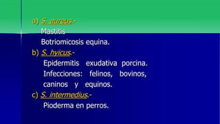BACTERIOLOGÍA Y MICOLOGÍA VETERINARIA | PPTX