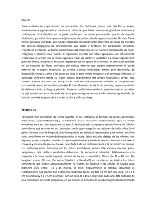 Aparato reproductor del macho (2) | DOCX