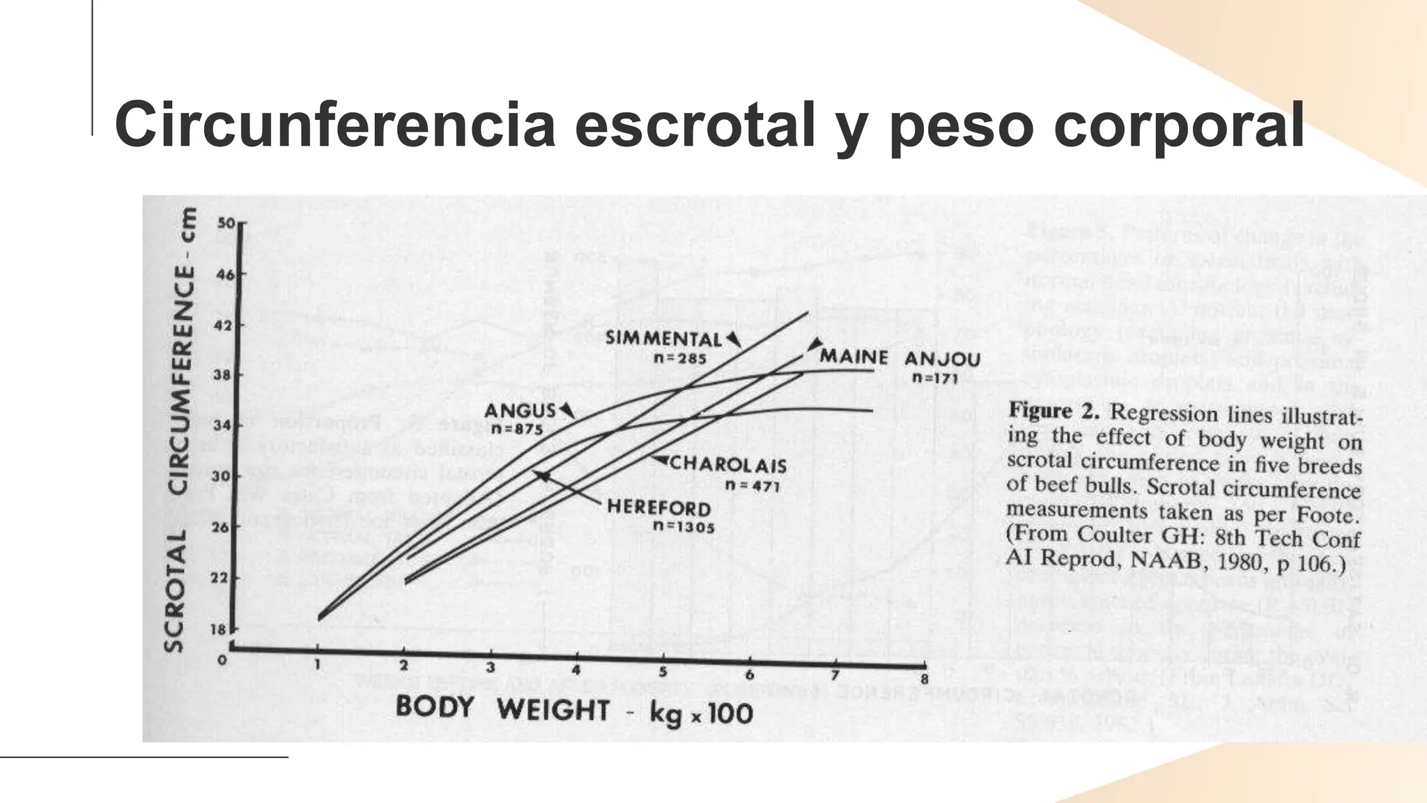 APARATO REPRODUCTOR DEL MACHO REPRODUCCION ANIMAL.pptx