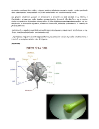 Aparato Reproductor de una flor angiosperma | DOCX