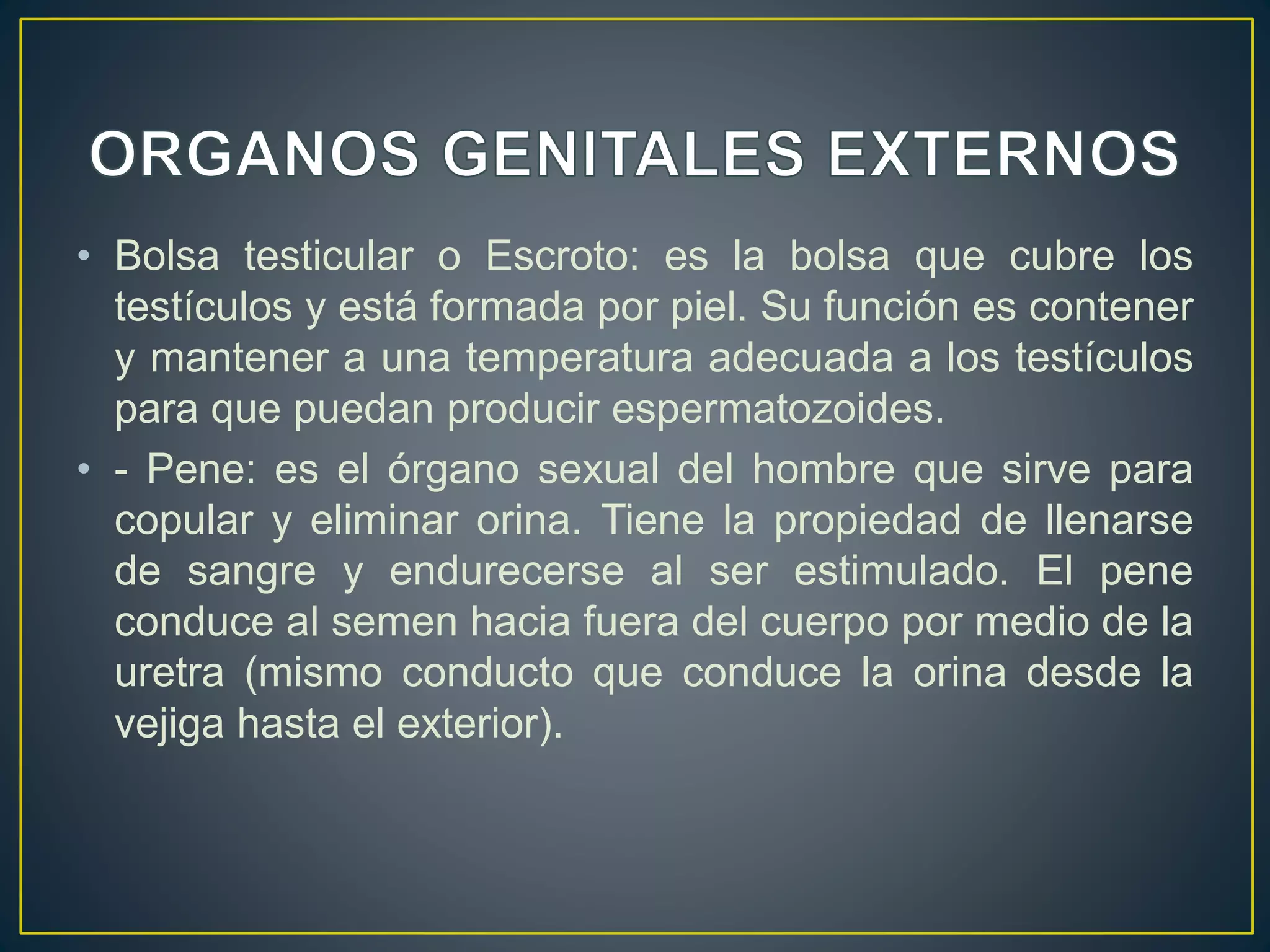 Aparato reproductores | PPTX