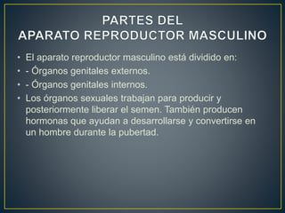 Aparato reproductores | PPTX