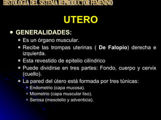 Aparato Reproductor Femenino | PPT