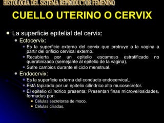 Aparato Reproductor Femenino | PPT