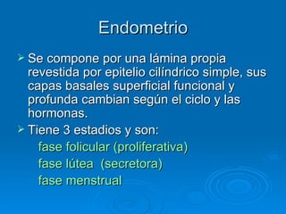 Aparato reproductor femenino | PPT