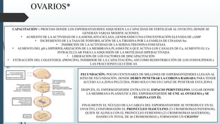 APARATO REPRODUCTOR FEMENINO, histologia.pptx