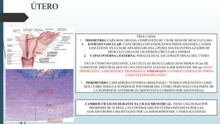 APARATO REPRODUCTOR FEMENINO, histologia.pptx