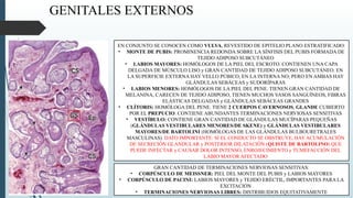 APARATO REPRODUCTOR FEMENINO, histologia.pptx