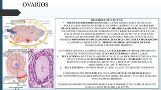 APARATO REPRODUCTOR FEMENINO, histologia.pptx