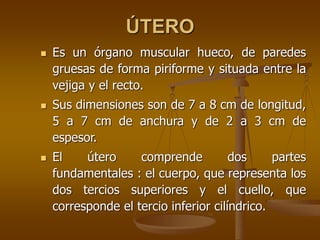 Aparato Reproductor femunino.ppt