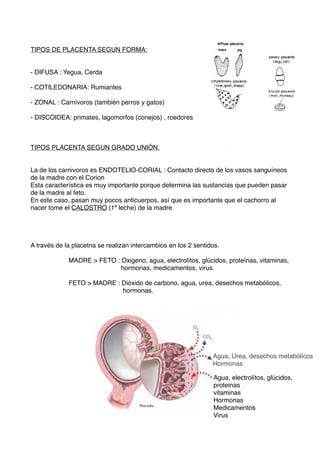 Aparato reproductor hembras ( Veterinaria) | PDF