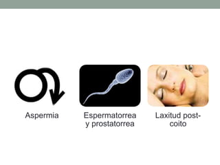 Aparato reproductor masculino | PPTX