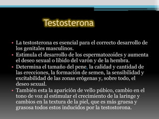 Aparato reproductor masculino | PPTX