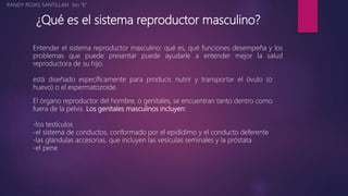 Aparato reproductor masculino | PPTX