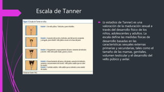 APARATO REPRODUCTOR MASCULINO.pptx