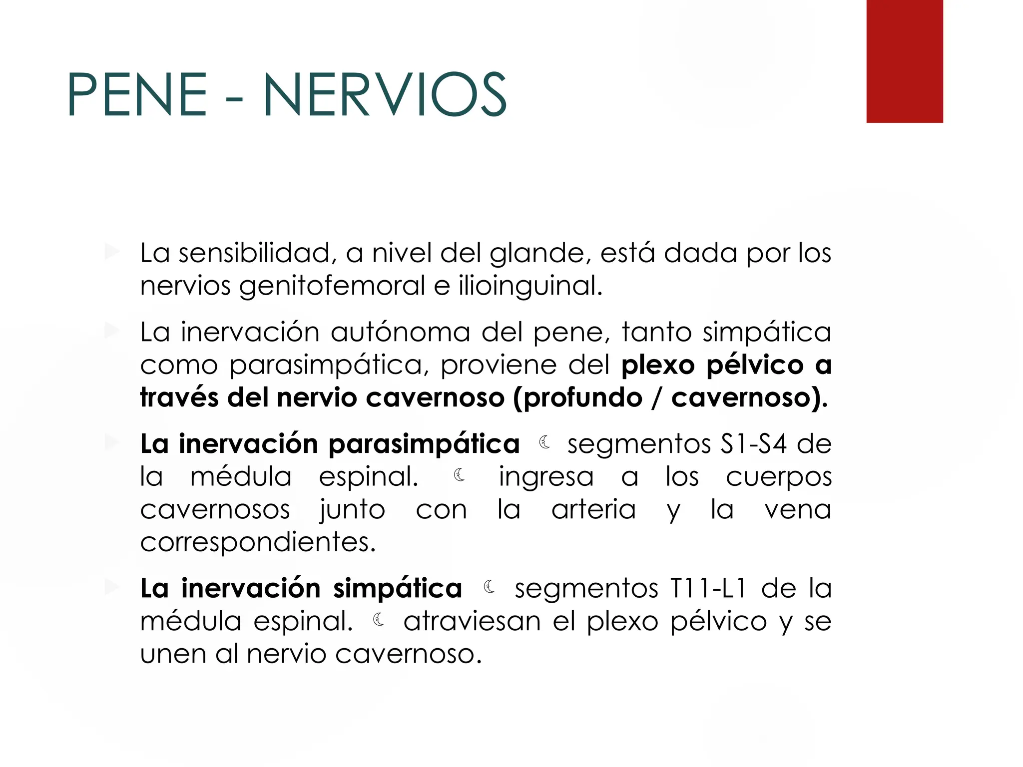 APARATO REPRODUCTOR MASCULINO EN ANATOMÍA.pptx