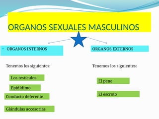 APARATO REPRODUCTOR MASCULINO Y FEMENINO.pptx