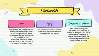 Aparato reproducto y ciclo estral de la vaca (1).pdf