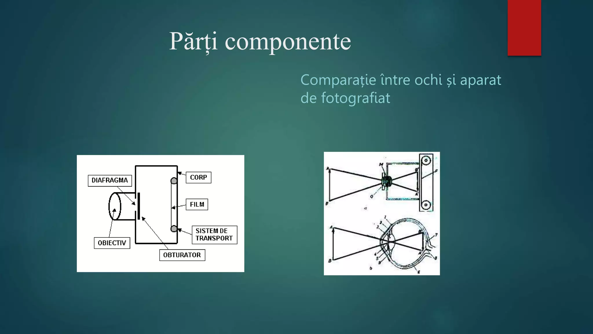 Aparatul de fotografiat.pptx