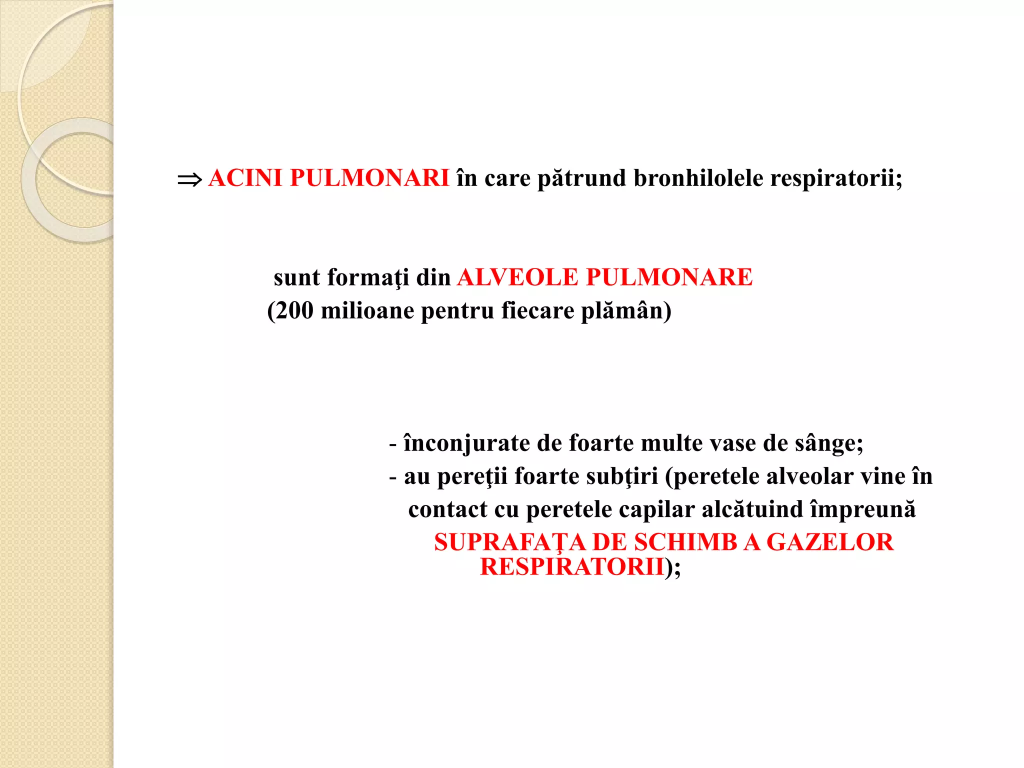 Aparatul respirator. Plămânii | PPTX