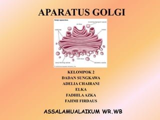Aparatus golgi | PPTX