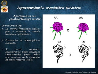 Apareamiento no aleatorio | PPT