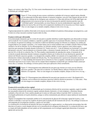 Apareamiento perras | PDF