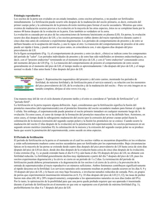 Apareamiento perras | PDF