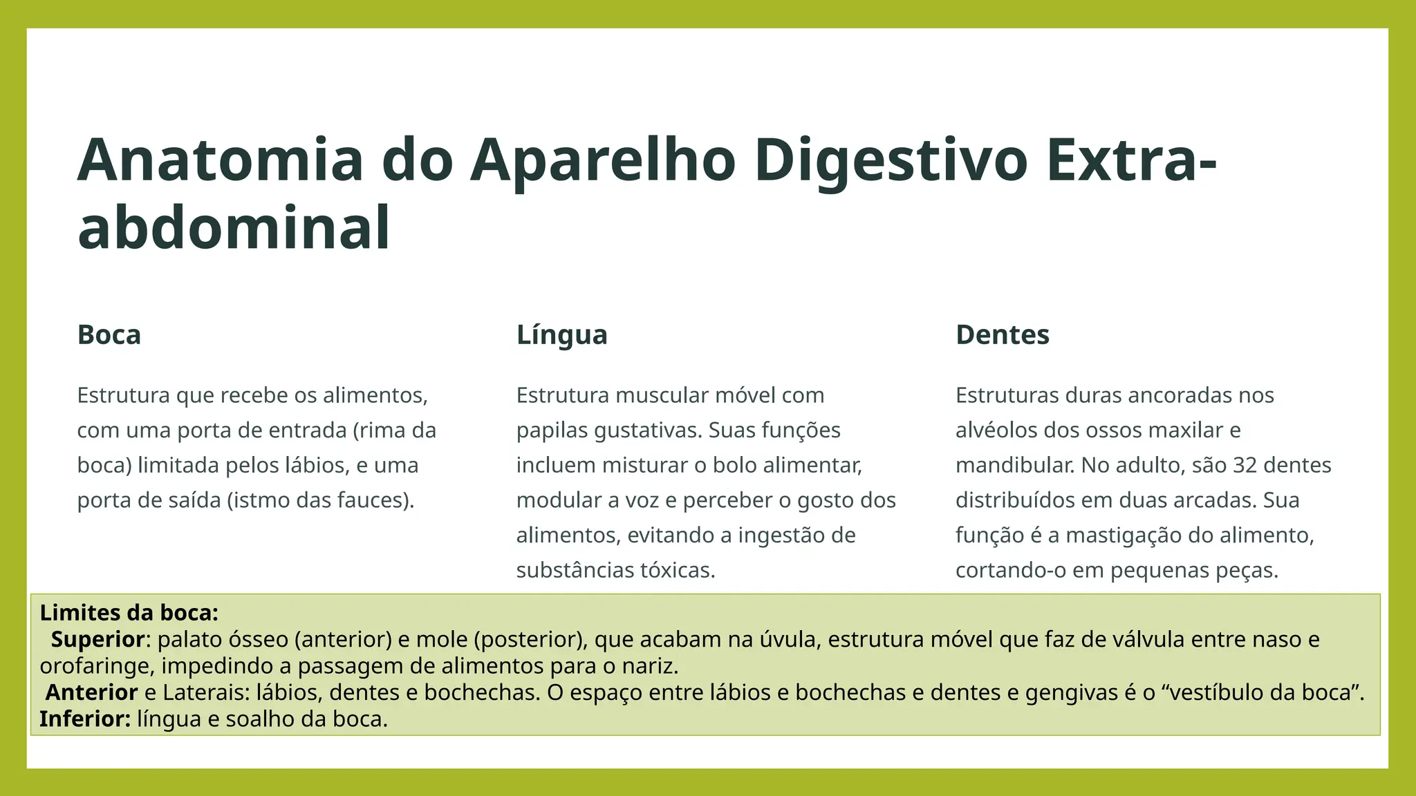Aparelho-Digestivo-Generalidades (1).pptx