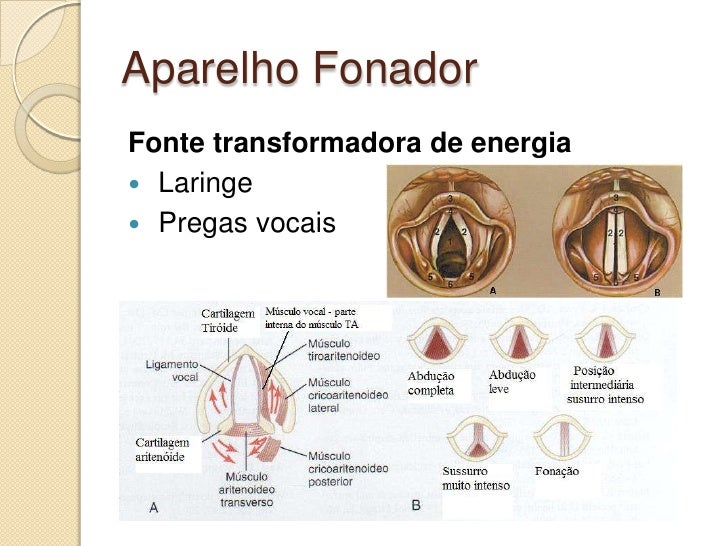 Aparelho Fonador